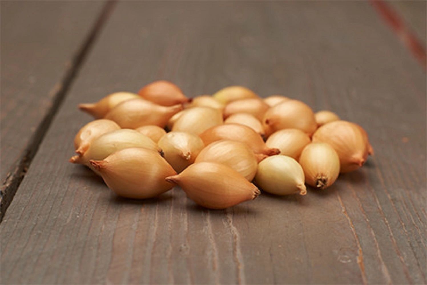 Turbo Onion Sets - Budget Seeds