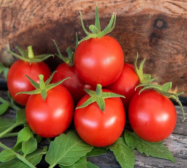 Tomato Bauna F1 - Budget Seeds
