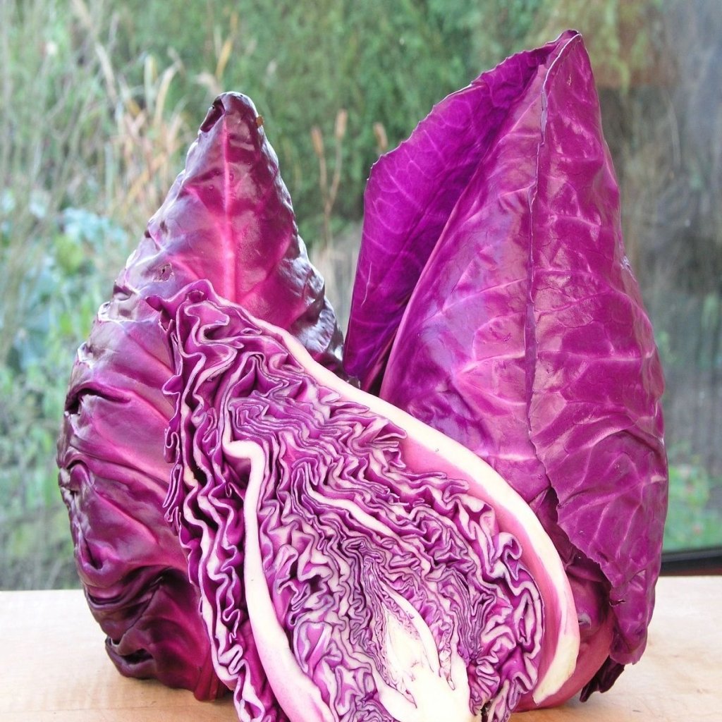 Cabbage Kalibos - Budget Seeds