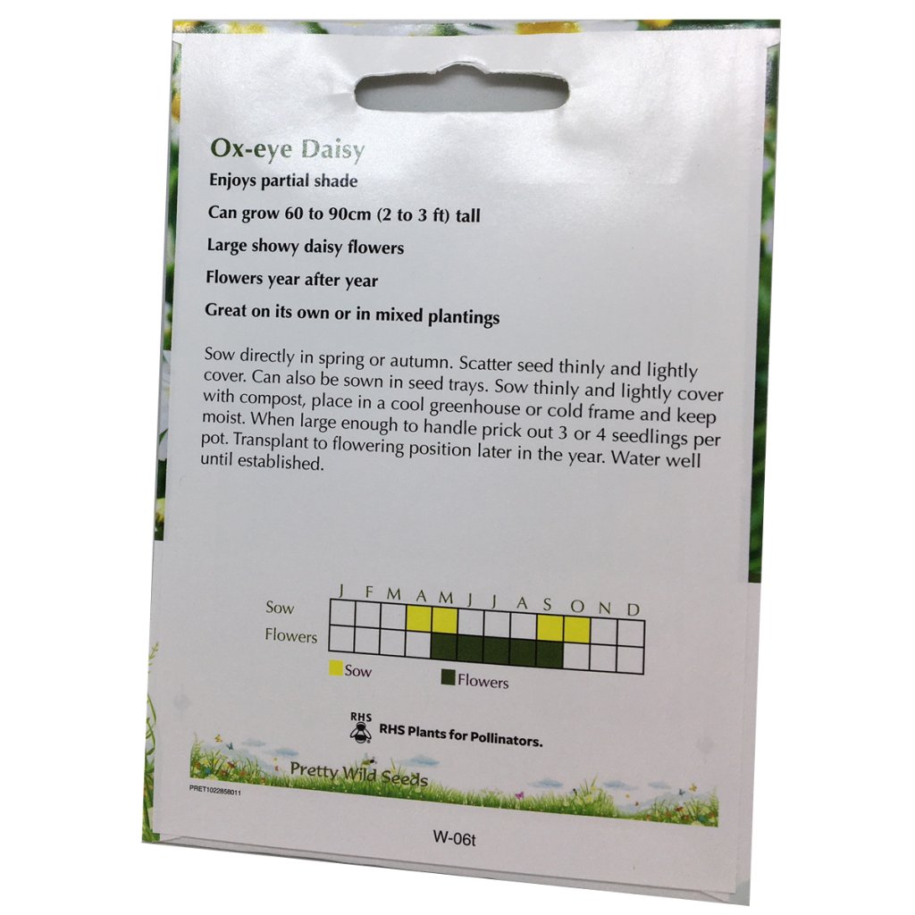 Pictorial Ox-Eye Daisy Pictorial Packet - Budget Seeds