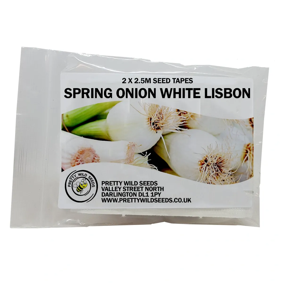 Onion Red Brunswick - Budget Seeds