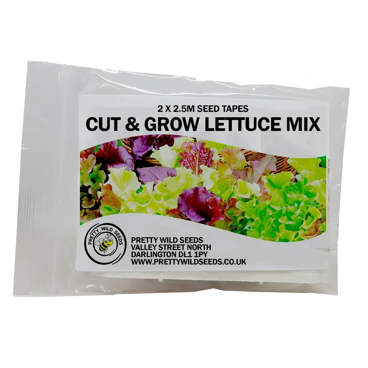 Cabbage Tundra F1 - Budget Seeds