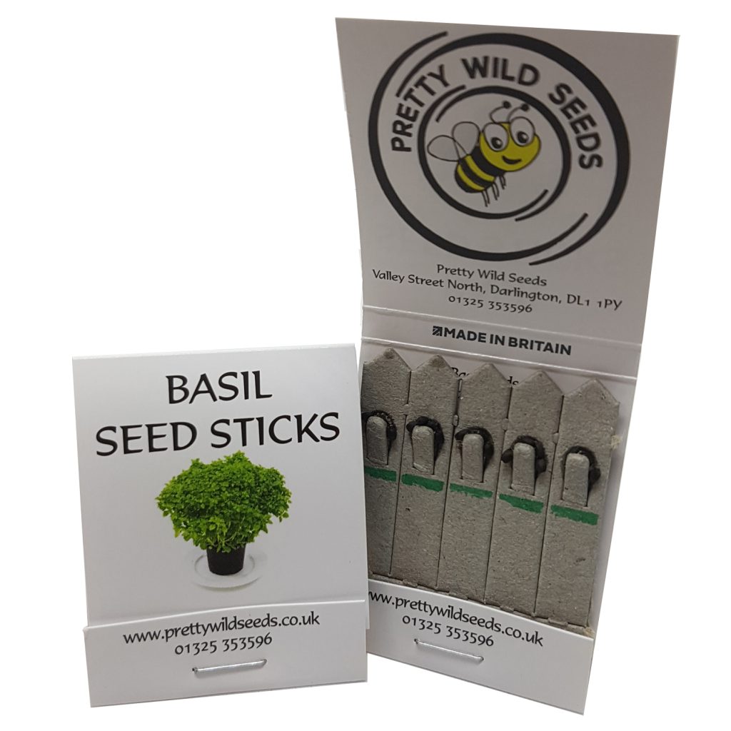 Basil SeedSticks - Budget Seeds