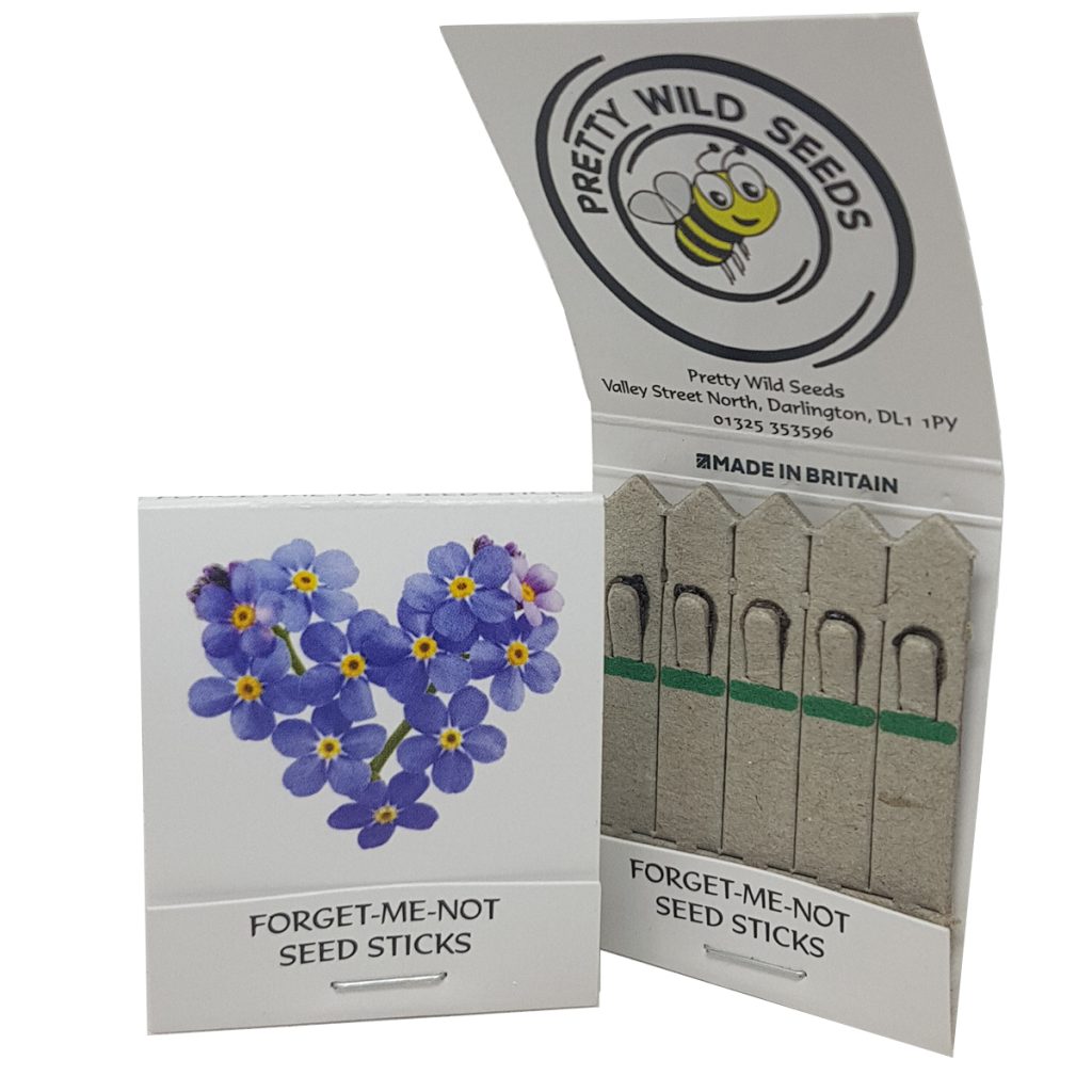 Blank Backed Forget-Me-Not SeedSticks - Budget Seeds