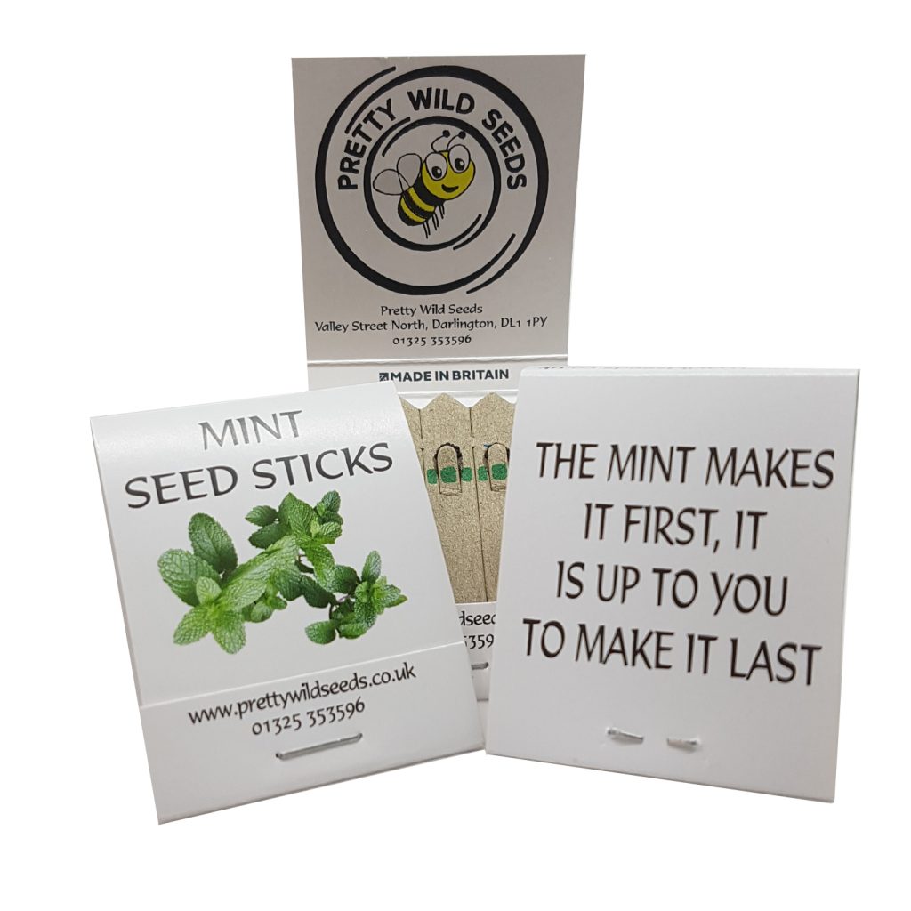 Mint SeedSticks - Budget Seeds