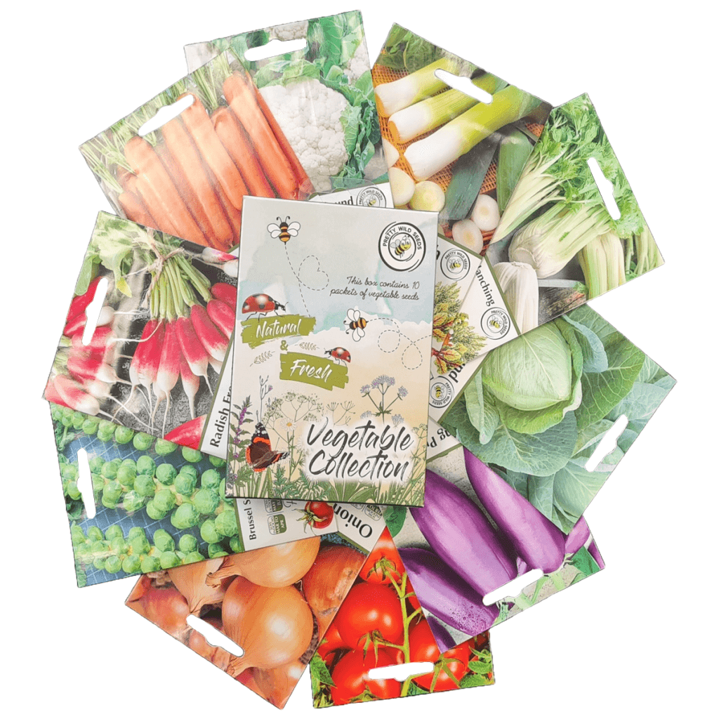 Vegetable, Tomato & Herb Seeds Collection Multi-Pack - Budget Seeds