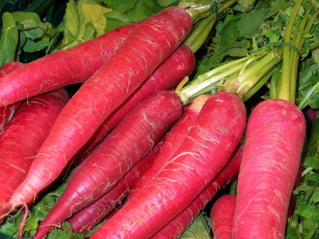 Wholesale Radish Candle of Fire Lungo Rosso Catalda Di Fuoco Bulk ...