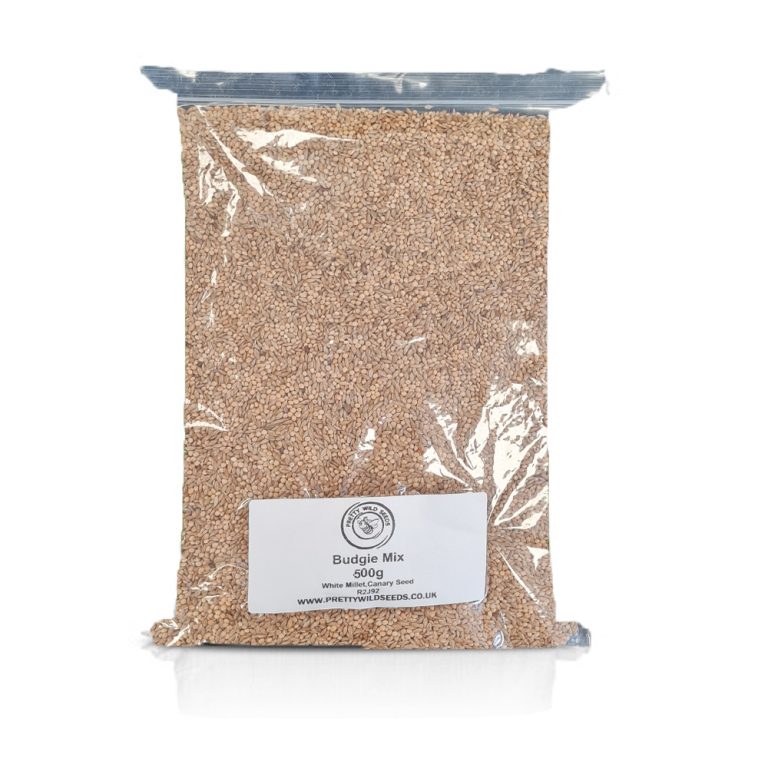 Budgie Seed Mix - Budget Seeds