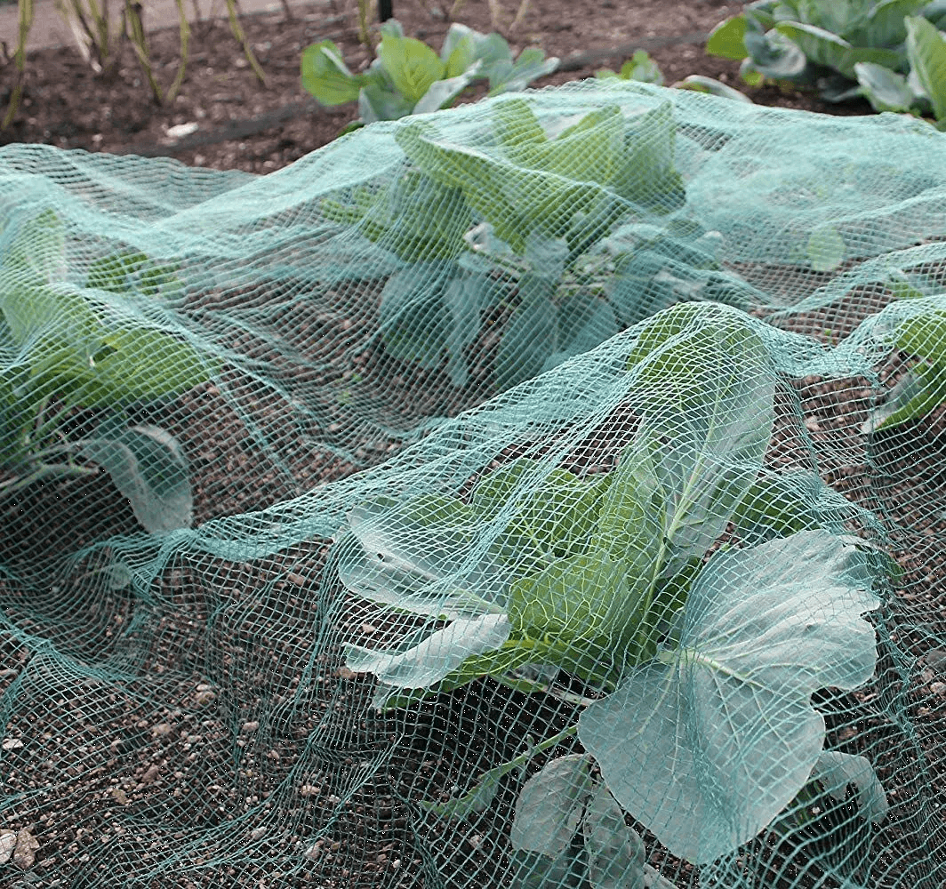 Netting - Budget Seeds