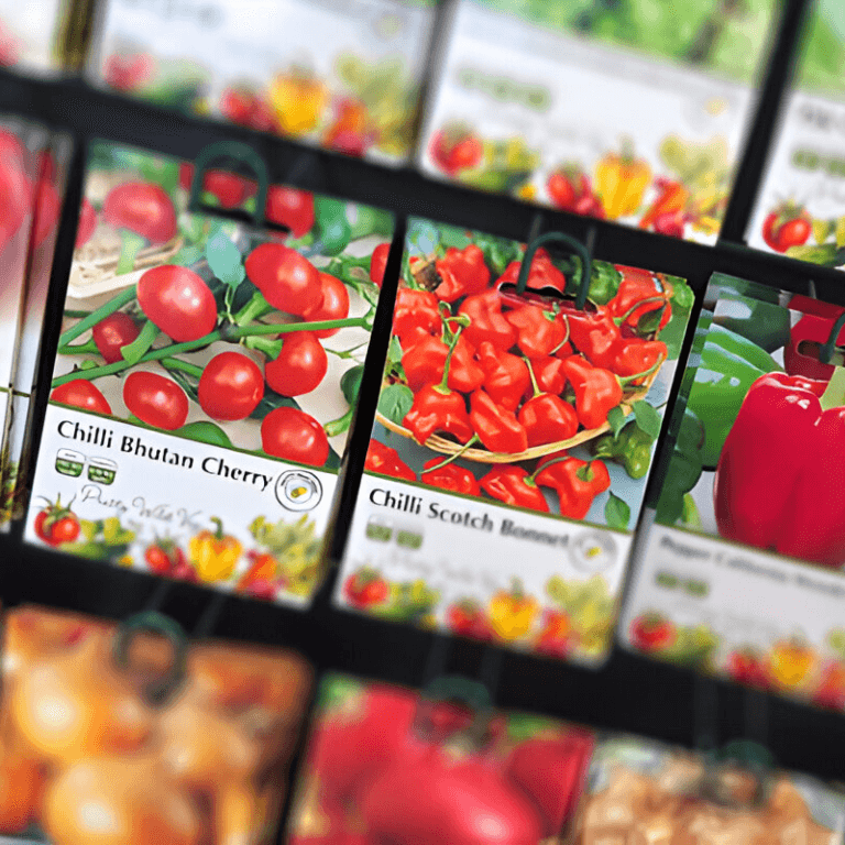 Products - Budget Seeds