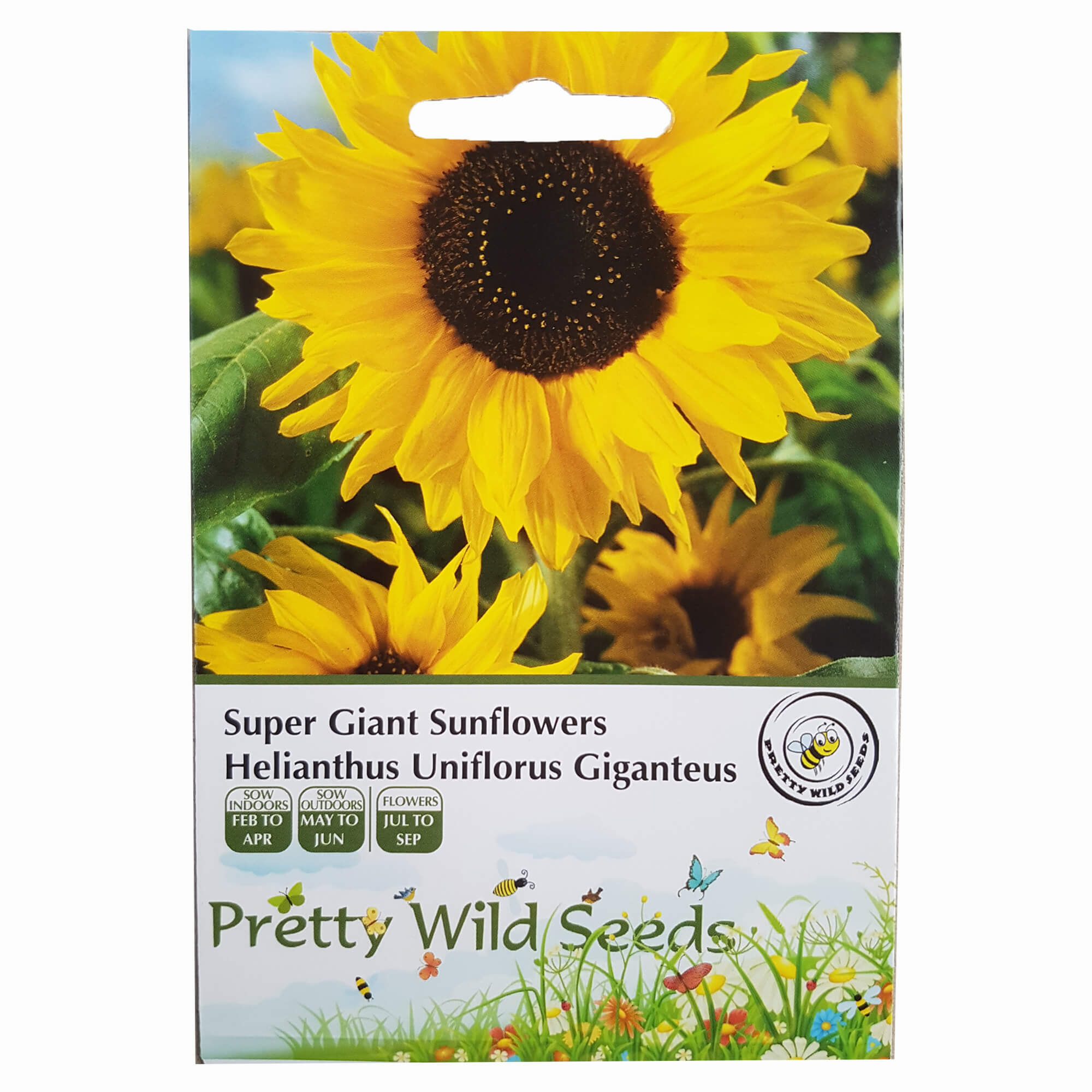 Flower Pictorial Packets - Budget Seeds