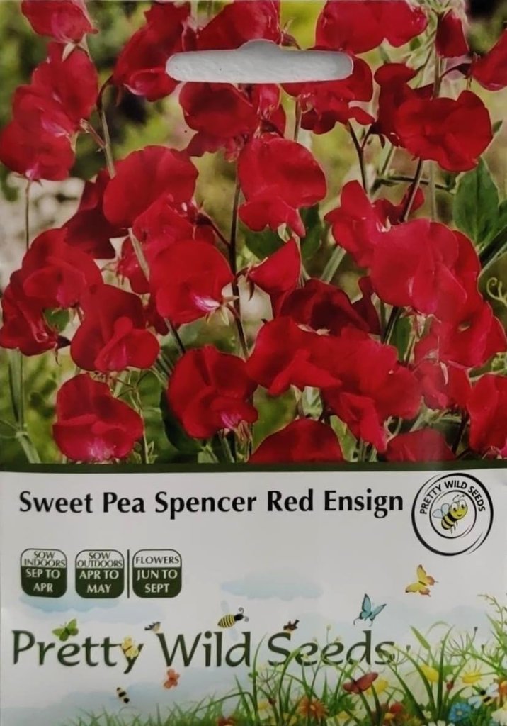 Pictorial Sweet Pea Spencer Red Ensign - Budget Seeds
