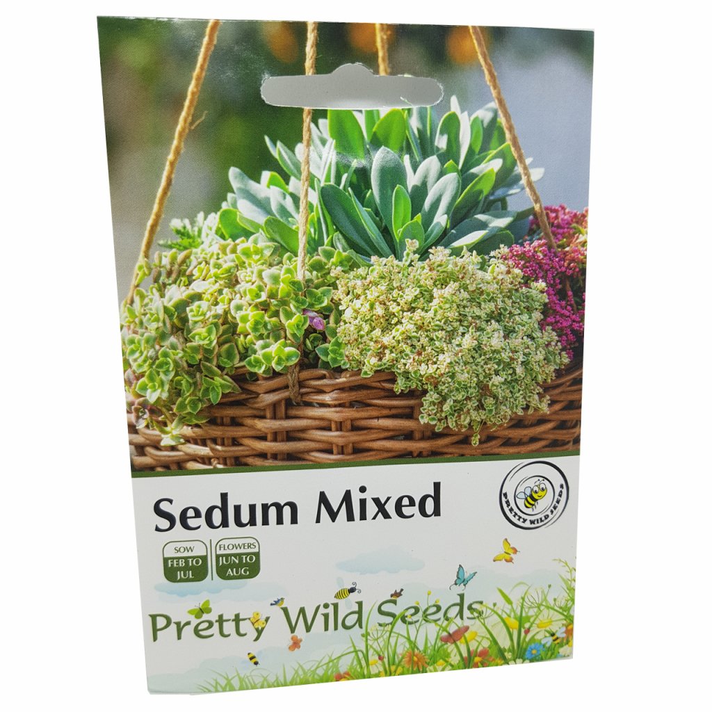 Pictorial Sedum Mixed Seeds - Budget Seeds