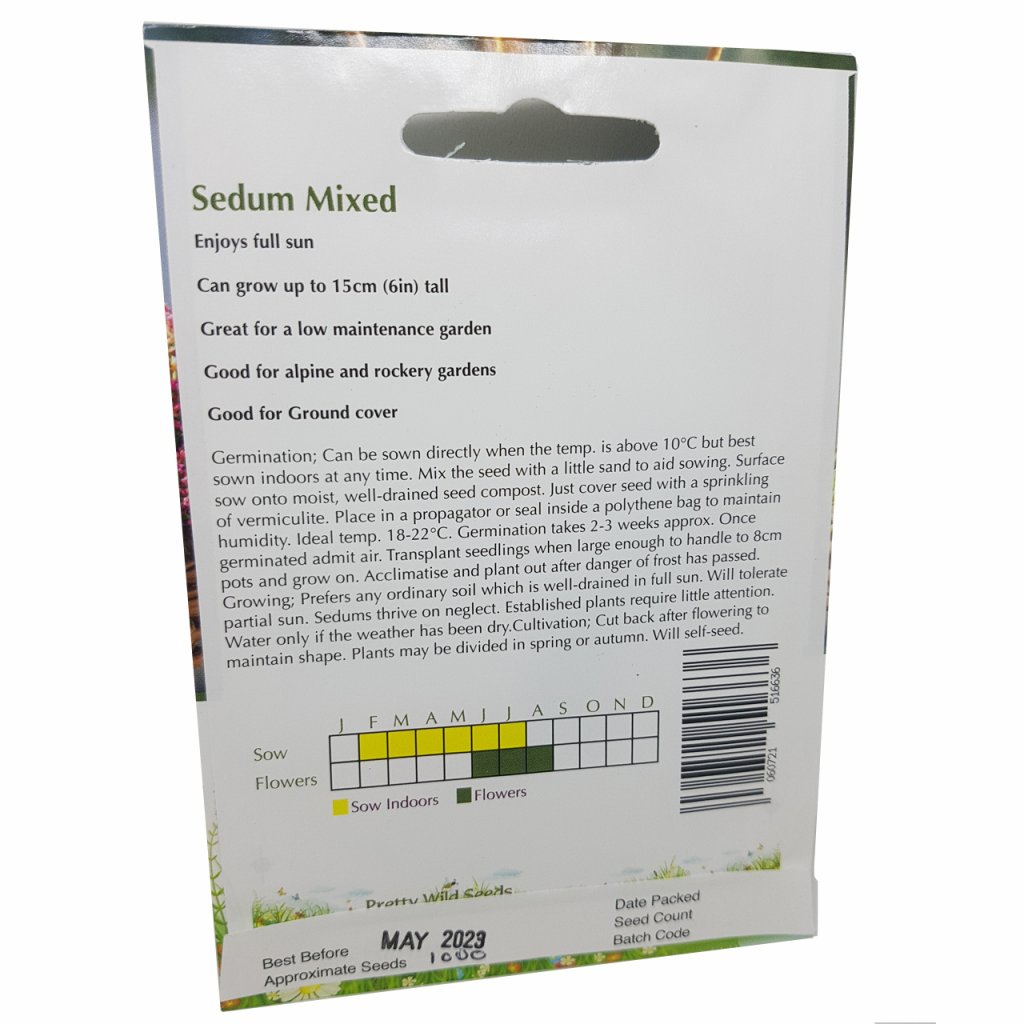 Pictorial Sedum Mixed Seeds - Budget Seeds