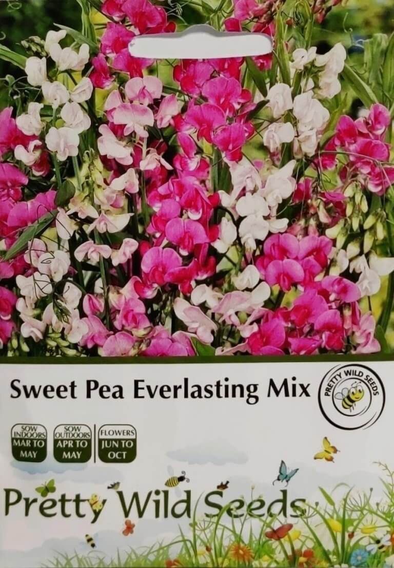 Pictorial Sweet Pea Latifolius Everlasting Pea Mix HP - Budget Seeds