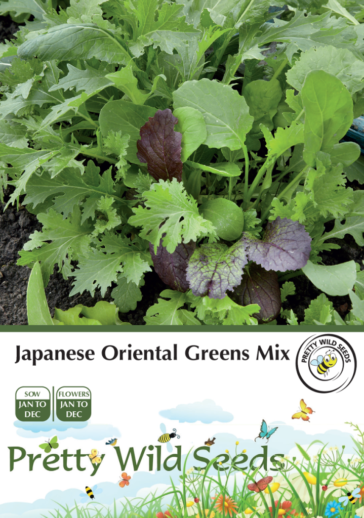 Pictorial Japanese Oriental Greens Mix - Budget Seeds