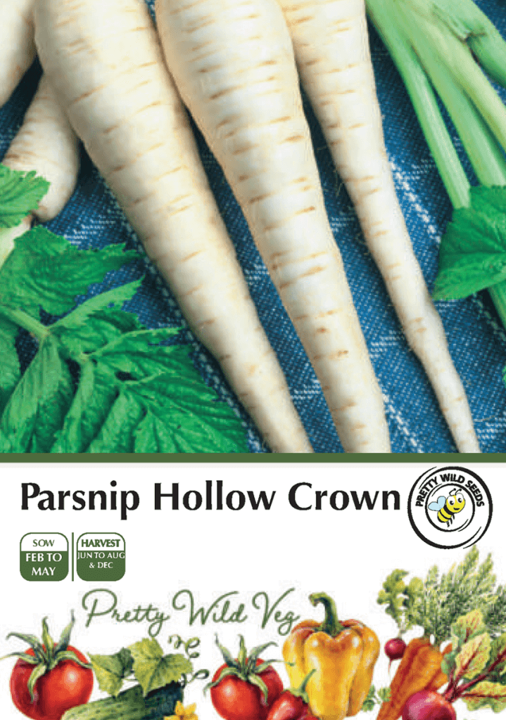 Pictorial Parsnip Hollow Crown - Budget Seeds