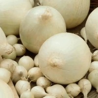 Turbo Onion Sets - Budget Seeds